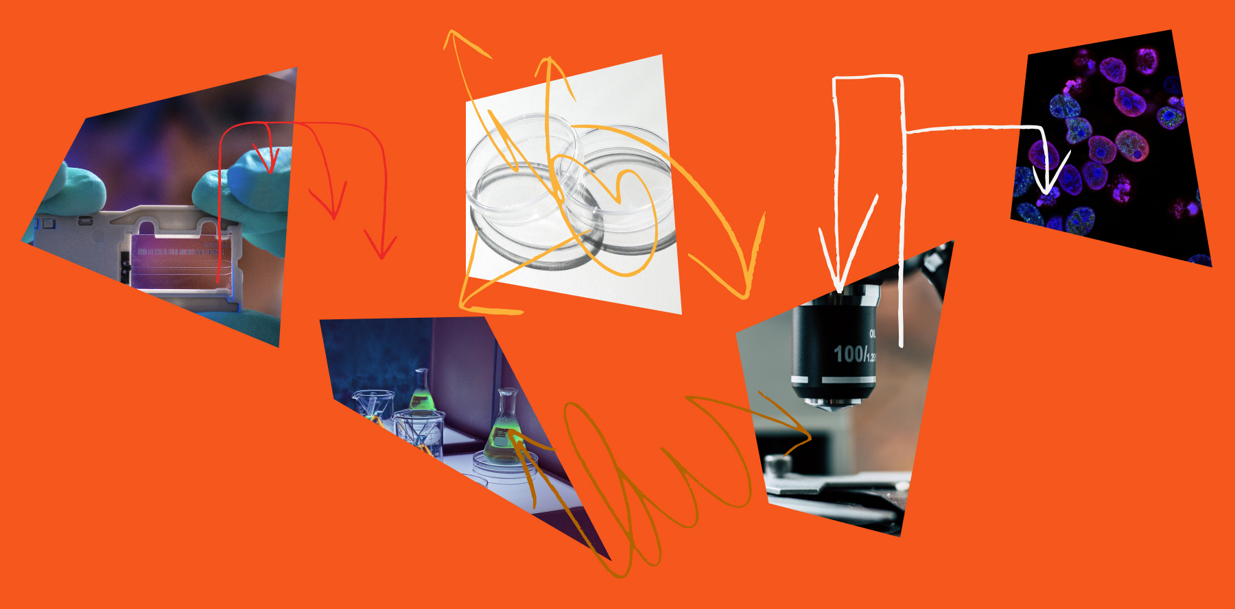 UiPath’s Daniel Dines: Architect of the New Automation | Sequoia Capital