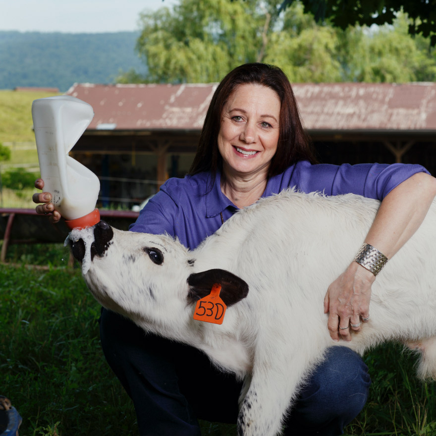 Sandy Lerner | Sequoia Capital