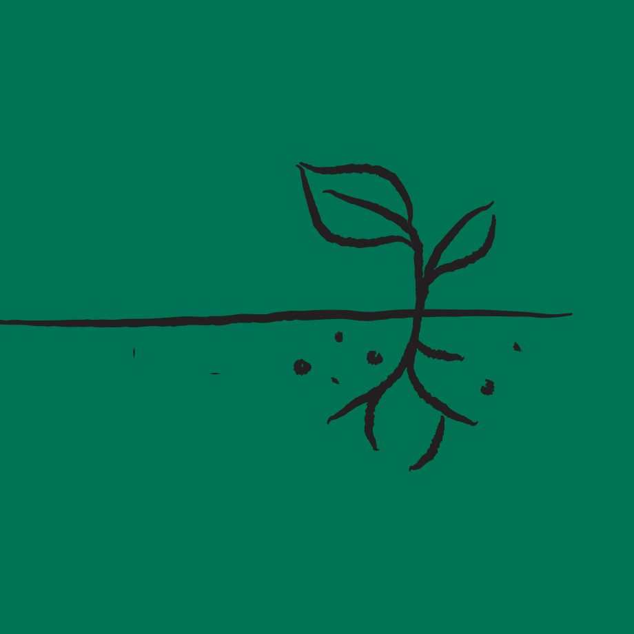 Home | Sequoia Capital US/Europe